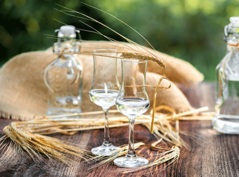 Struttura chicco di frumento: composizione e proprietà